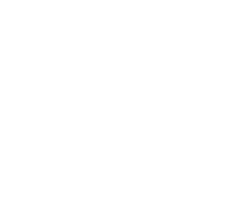 Services – Evolution Group Holdings